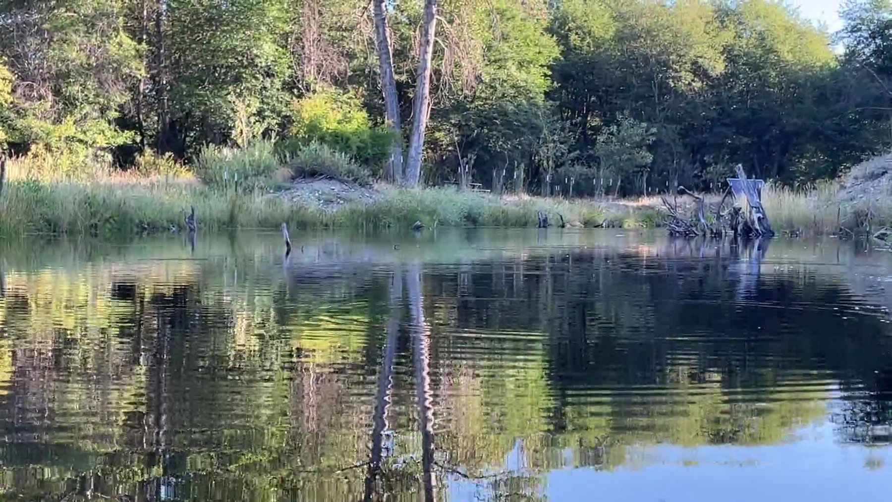 Scott River Watershed Council – We promote and support education ...