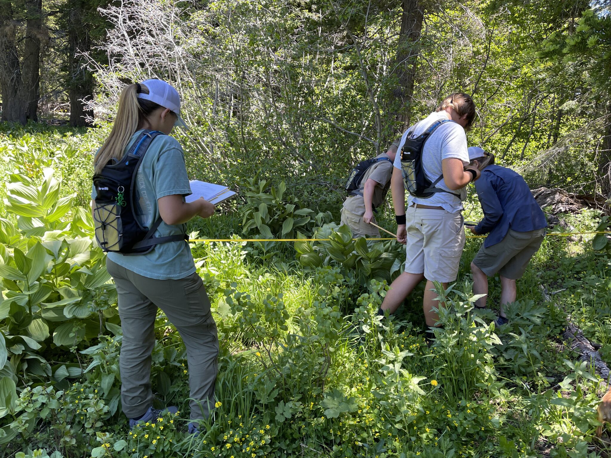 Youth Environmental Summer Studies (YESS)