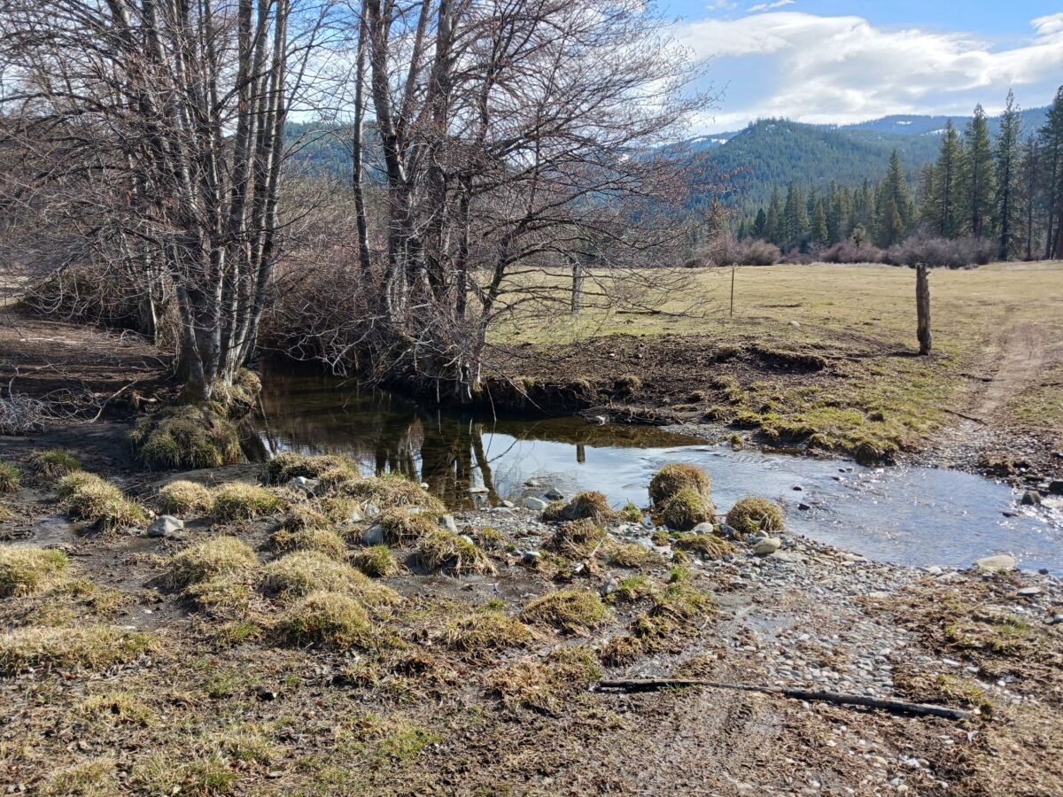 Beaver Valley Headwaters Riparian Fencing Project